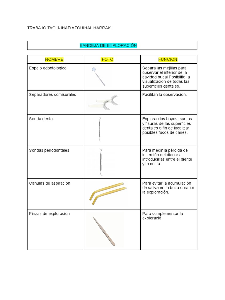 Bandeja De Exploración Pdf Odontología Diente