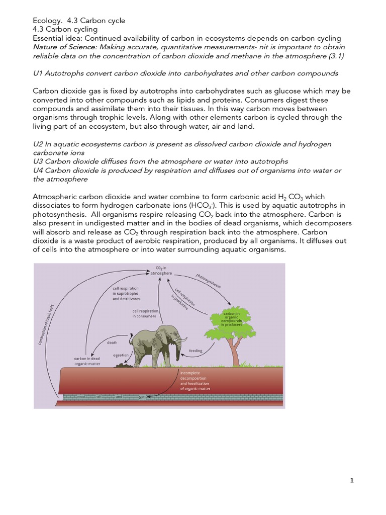 The Carbon Cycle: Tracing the Movement of Carbon Through Ecosystems and ...