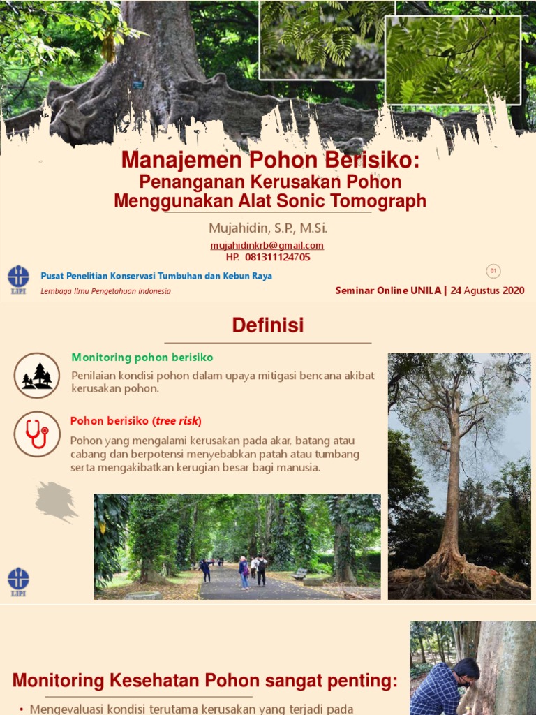 Evaluating Tree Risks Using Sonic Tomography | PDF