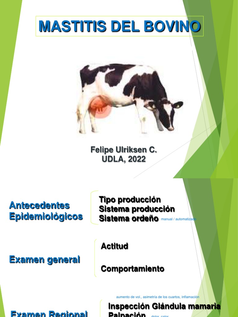 5a Mastitis | PDF | Ciencias de la Salud | Enfermedades y trastornos
