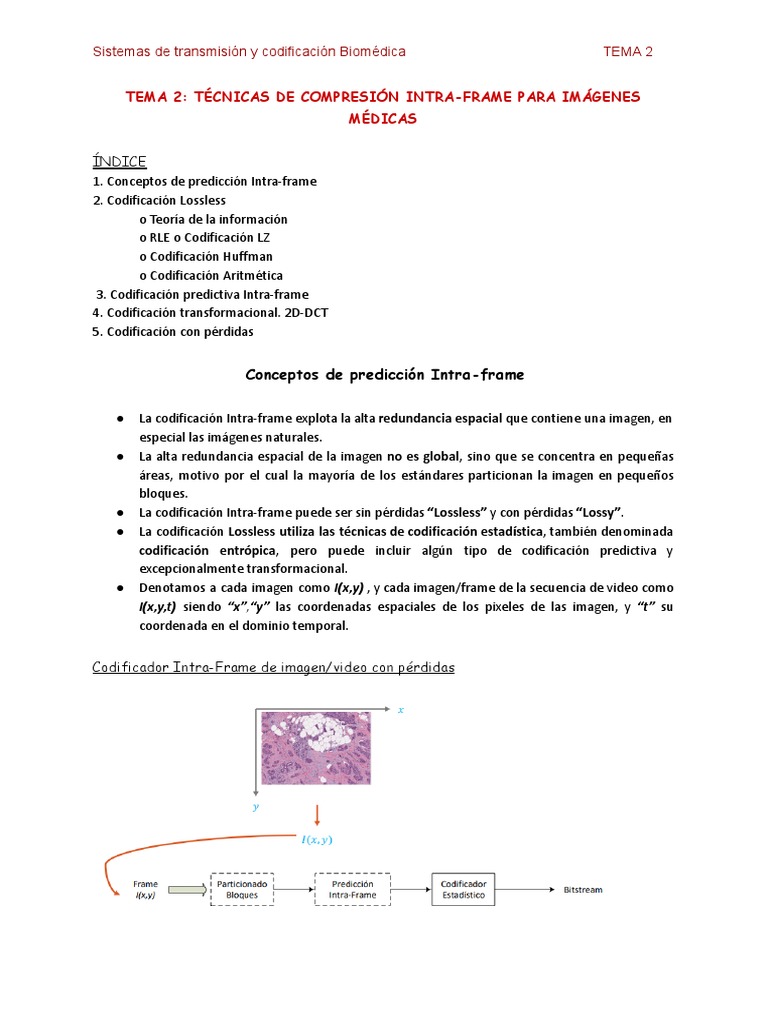 Tema 2 - Intra-Frame | PDF | Matriz (Matemáticas) | Información