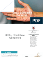 Folder Sobre Sifilis | PDF