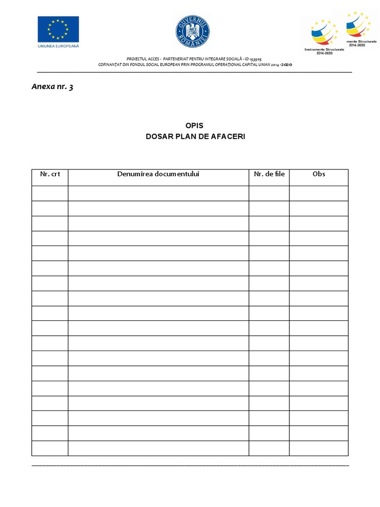 Anexa Nr. 3 - Model Opis Dosar Plan de Afaceri | PDF