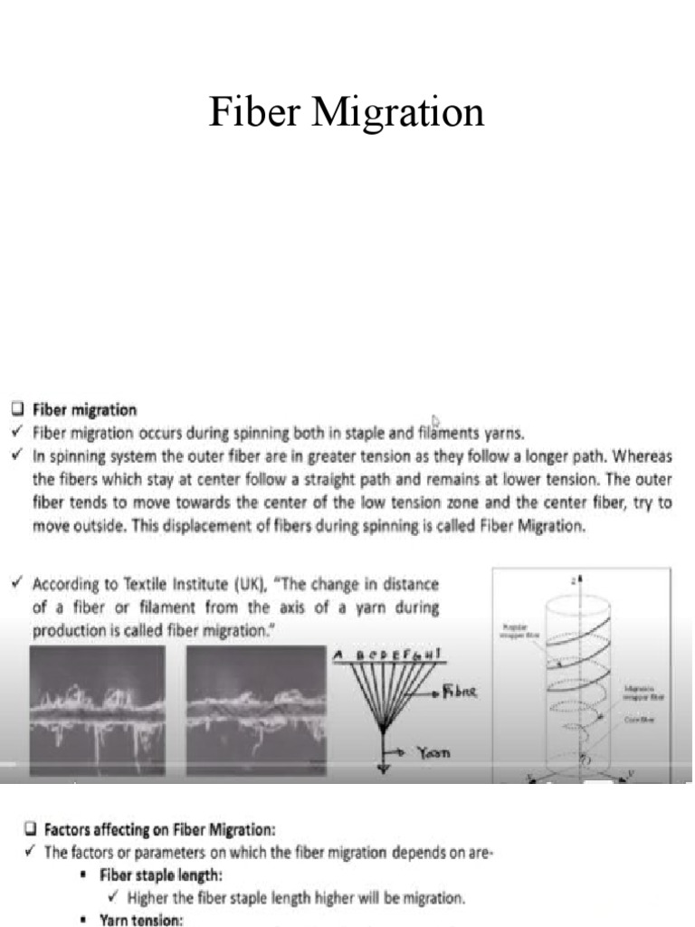 Fiber Migration | PDF