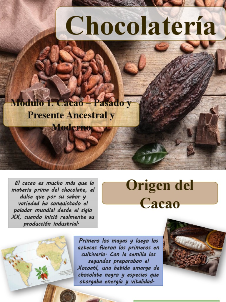 Módulo 1. Cacao - Pasado y Presente Ancestral y Moderno | Descargar gratis PDF | Chocolate ...