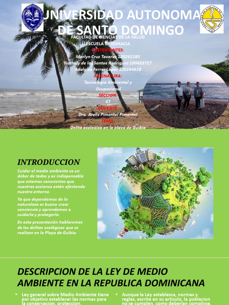 Delitos ecológicos en Playa Guibia | PDF | Contaminación | Entorno natural