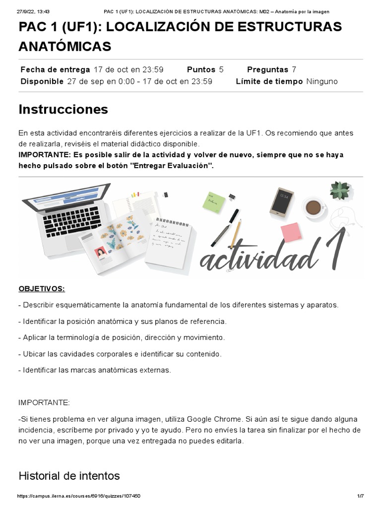 PAC 1 (UF1) - LOCALIZACIÓN DE ESTRUCTURAS ANATÓMICAS - M02 - Anatomía Por La Imagen-1 | PDF ...