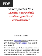 Pronumele de Intarire | PDF