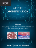 Cell Modification | PDF | Cell Adhesion | Epithelium
