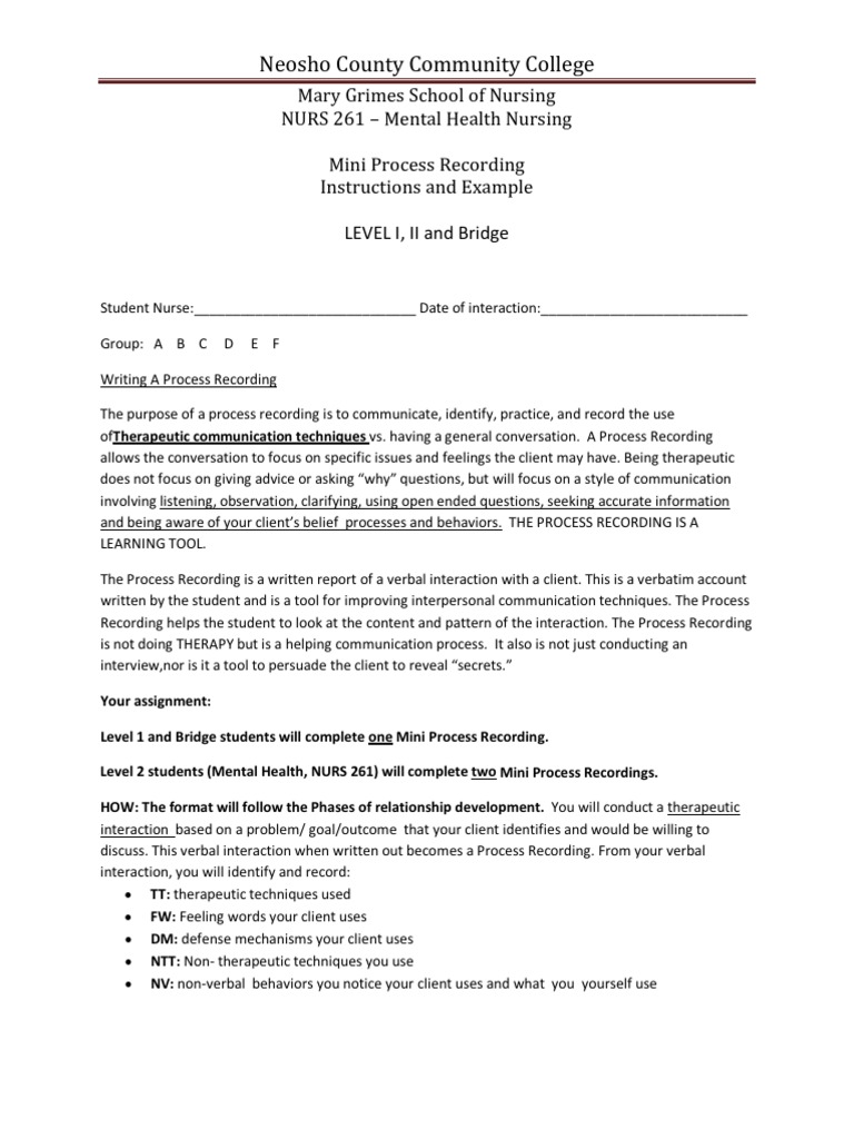 Mini Process Recording Instructions and Example | PDF | Interpersonal ...