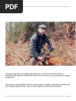 Morfología del perro: Graioides y Occipucio | PDF | Diente | Pastor alemán