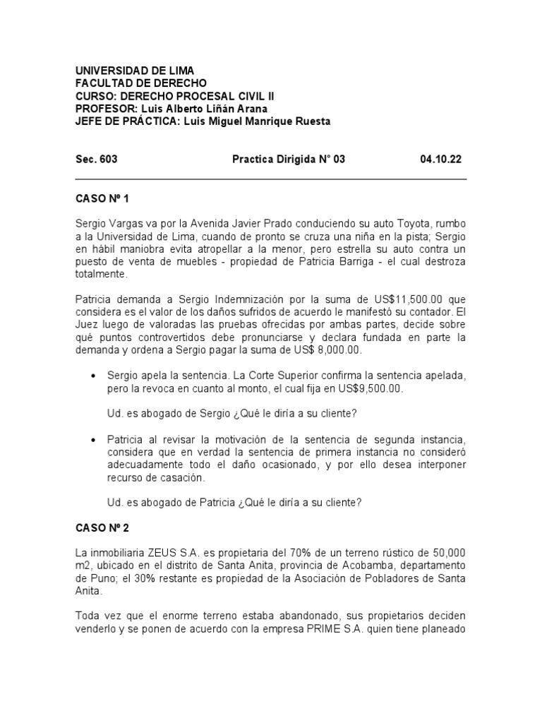 Practica Dirigida 4 | PDF | Demanda judicial | Sentencia (ley)
