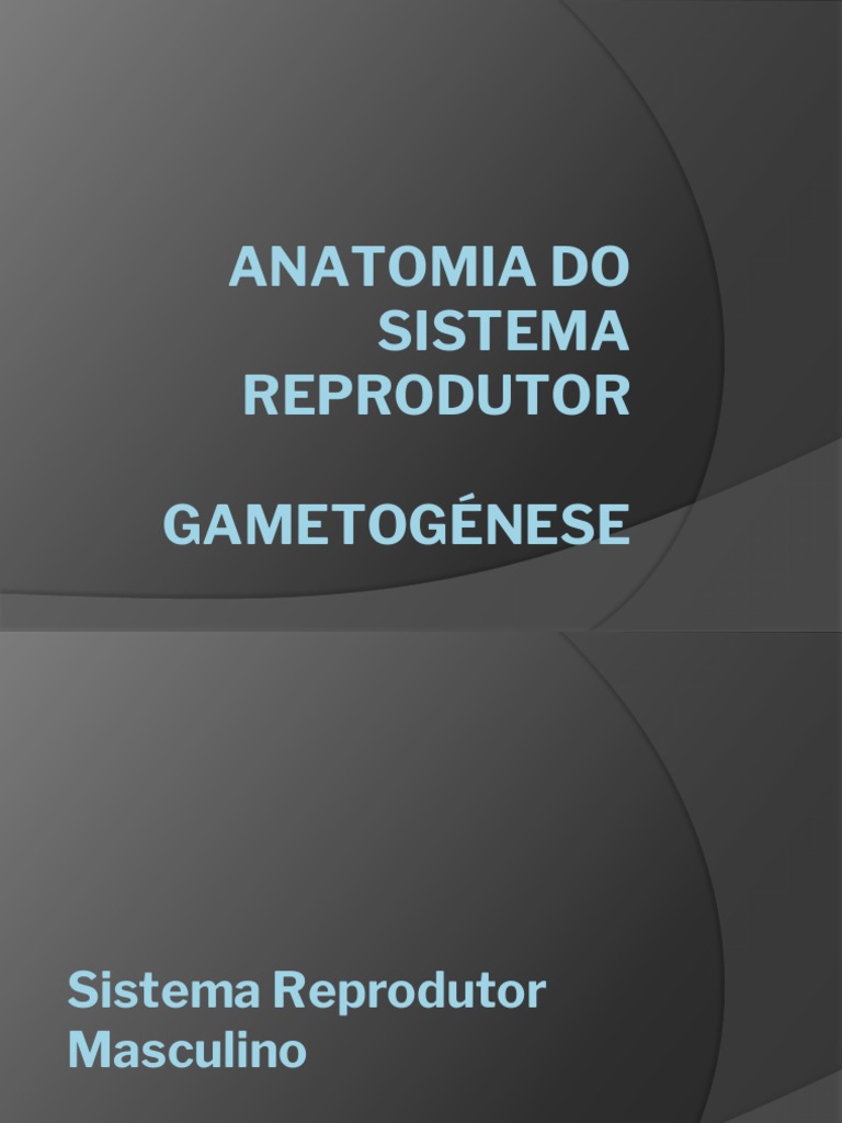 Espermatogenese, Espermiogenese e Regulação Do Sistema Reprodutor ... Espermatogenese, Espermiogenese e Regulação Do Sistema Reprodutor ...