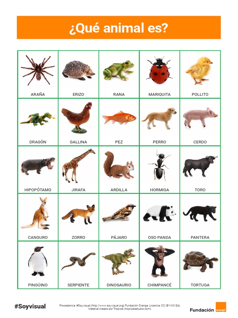 Adivina el animal: juego educativo | PDF | Aves