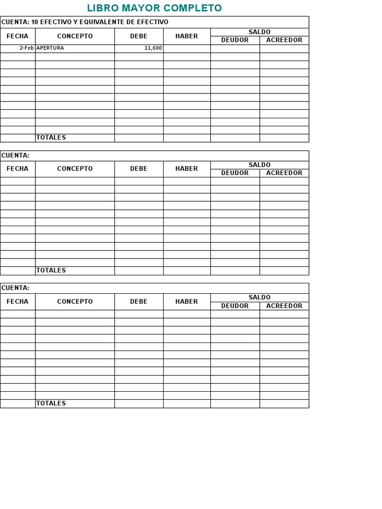 Libro Mayor Formato | PDF