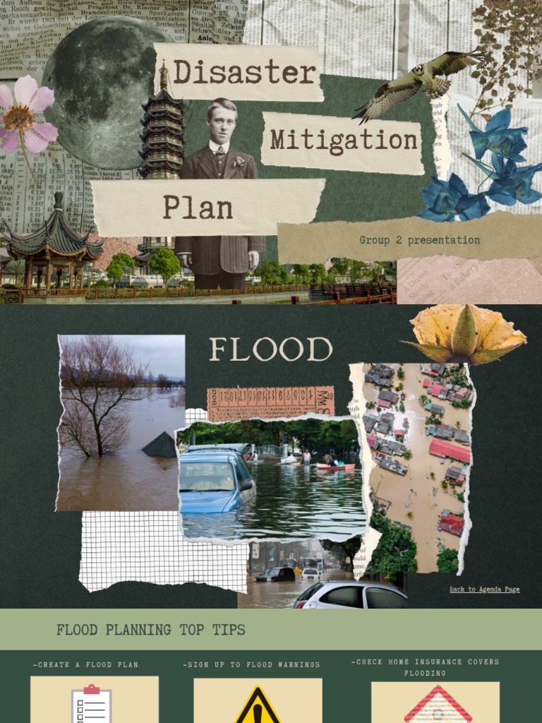 Disaster Mitigation Plan - Group 2 | PDF | Types Of Volcanic Eruptions | Volcano