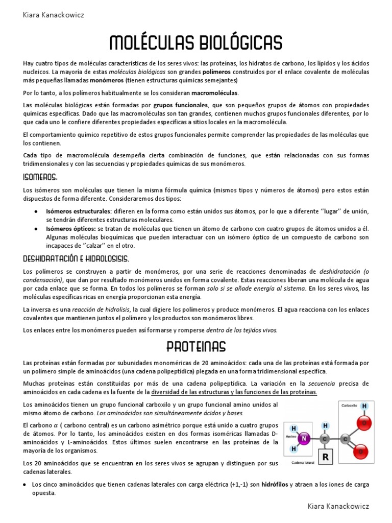 C4 - Macromoleculas | PDF | Proteínas | Aminoácidos
