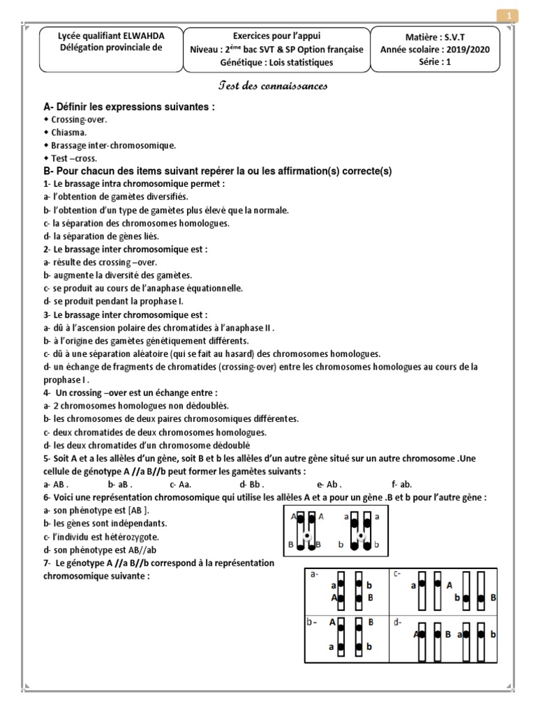 Exercices Corrigés de Génétique Humaine | PDF | Génotype | Hybride ...