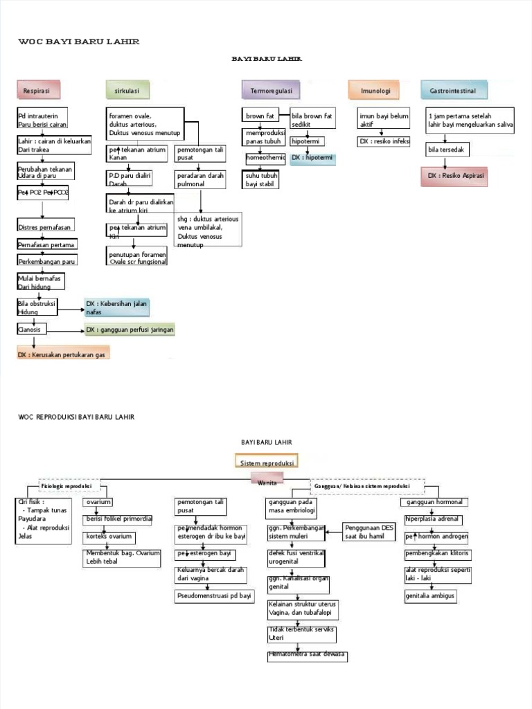 Woc Bayi Baru Lahir | PDF