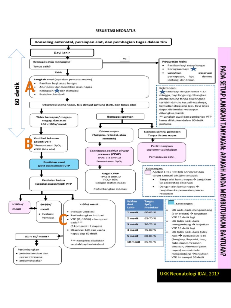 Resusitasi Neonatus | PDF | Cardiopulmonary Resuscitation | Heart Rate