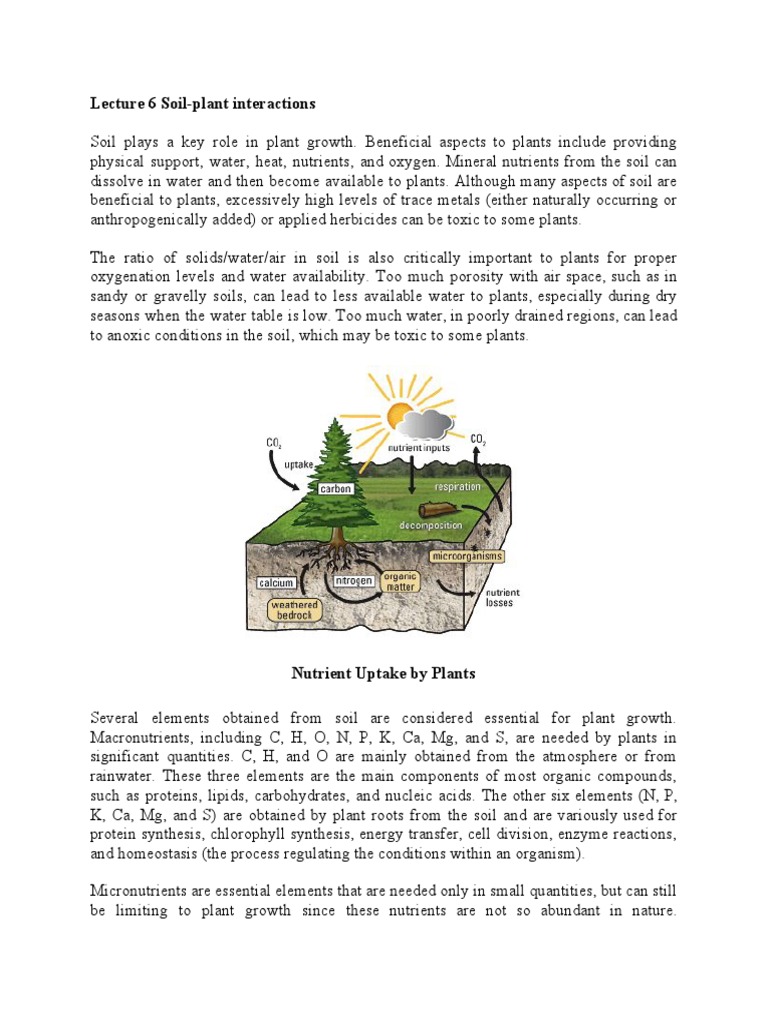 Lecture 6 Soil-Plant Interactions | PDF | Soil | Nutrients Lecture 6 Soil-Plant Interactions | PDF | Soil | Nutrients