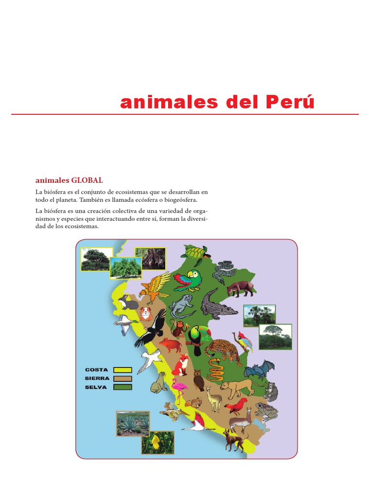 Mapa de Flora y Fauna del Perú | PDF | Organismos | Ecología