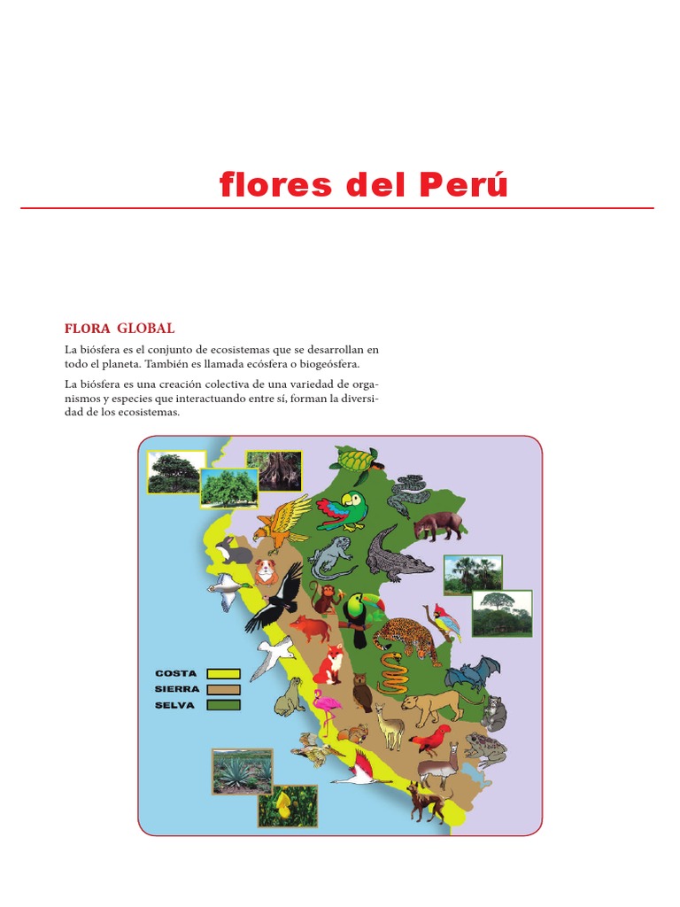 Flora de Perú | PDF | Organismos | Ciencias de la Tierra