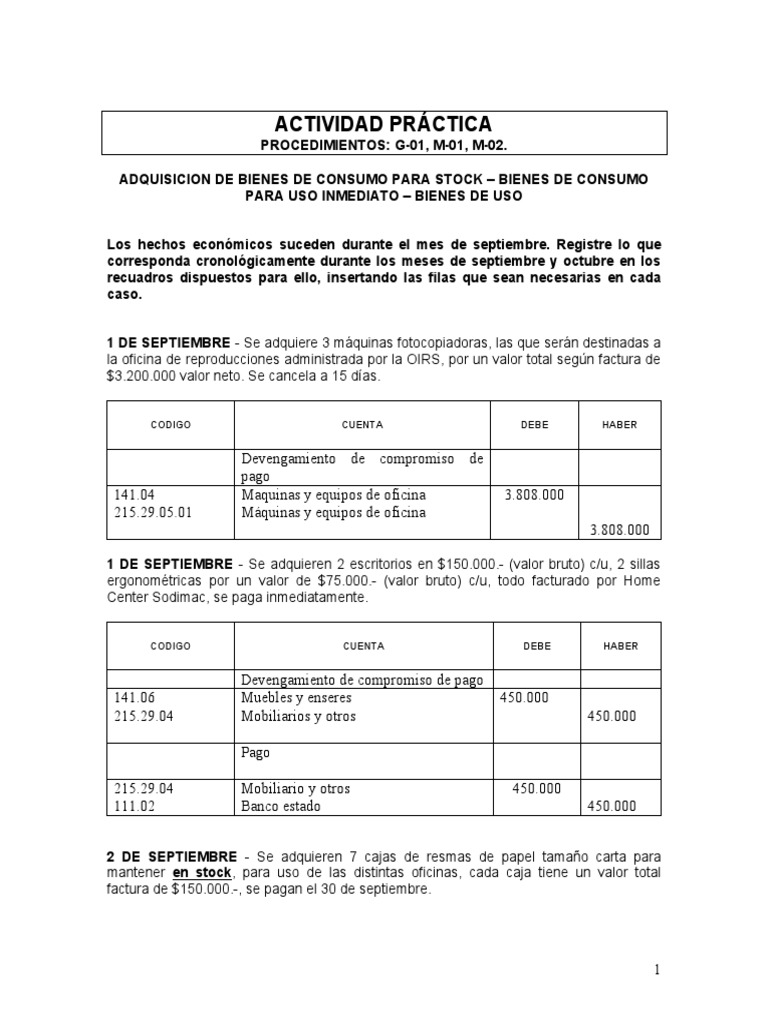 01 - Actividad Práctica 1 - M2 - Adquisiciones Bienes Stock Consumo Uso | PDF | Economias
