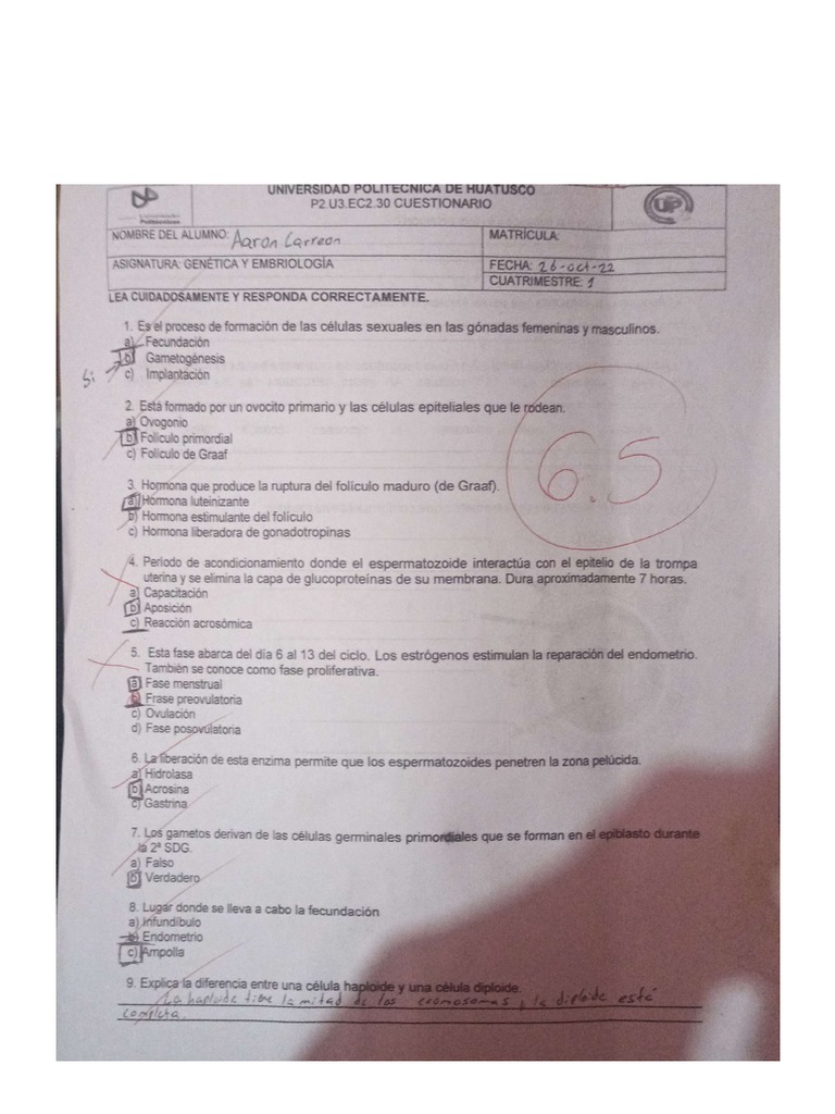 Examen Genética | PDF Examen Genética | PDF