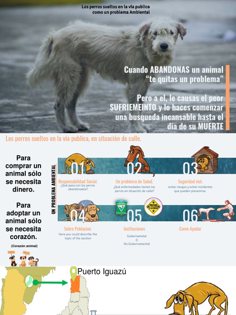 Perros en Situacion de Calle | PDF | Infección | Medicina CLINICA