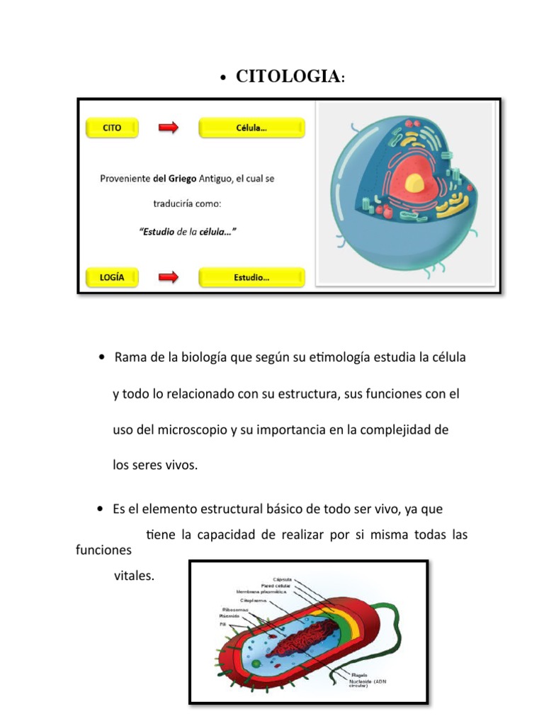 CITOLOGIA | PDF | Ciencia y matemáticas