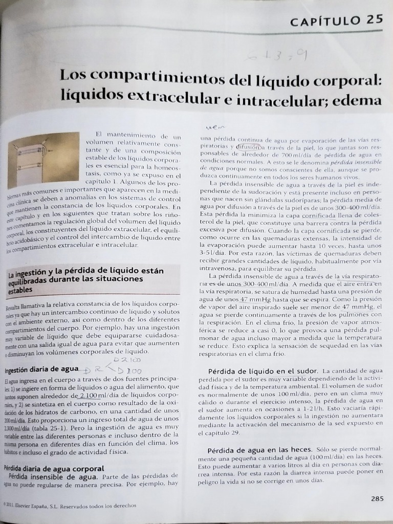 Capitulo 25 Guyton | PDF