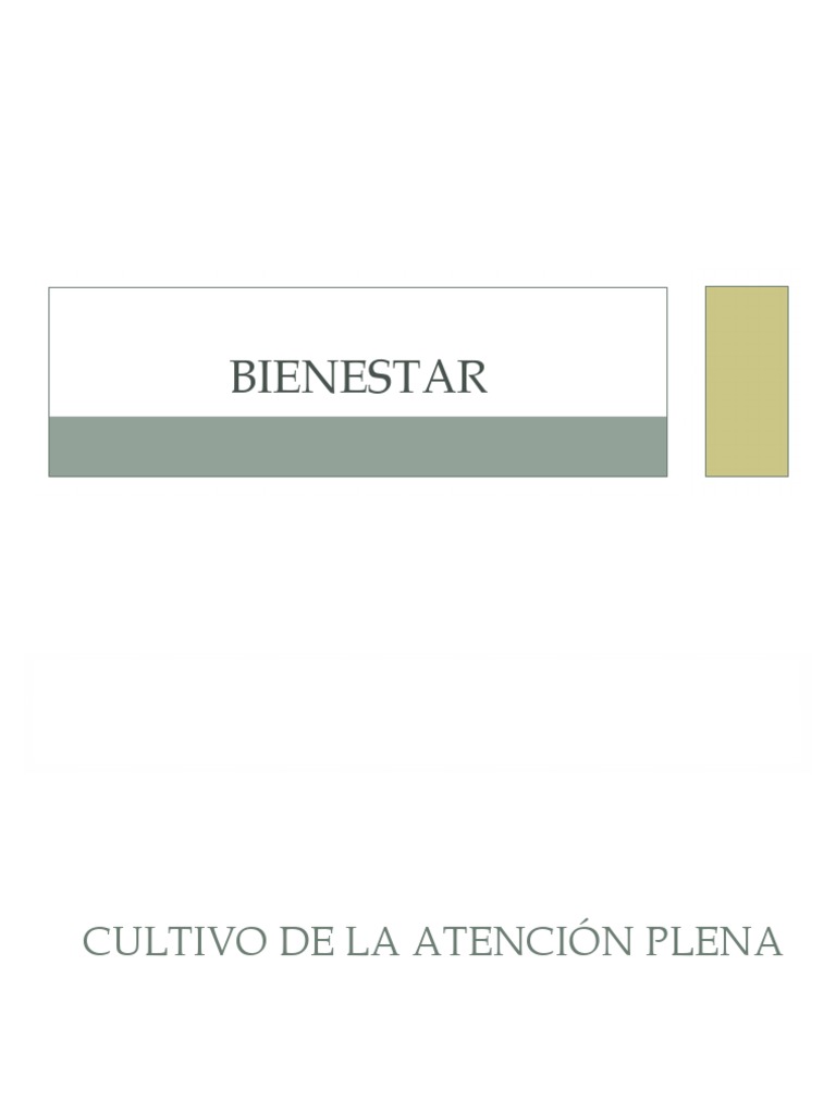 Bienestar Pdf Experiencia Felicidad
