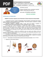 Instrumentos Da Capoeira | PDF | Instrumentos musicais