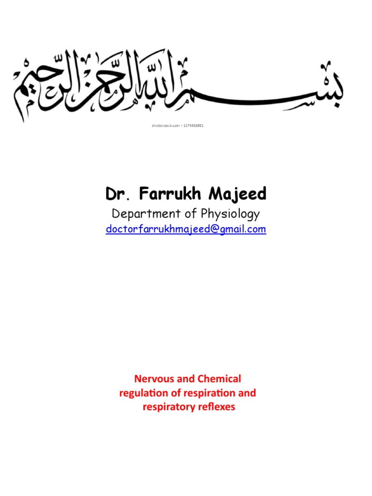 Regulation of Respiration | PDF | Breathing | Physiology