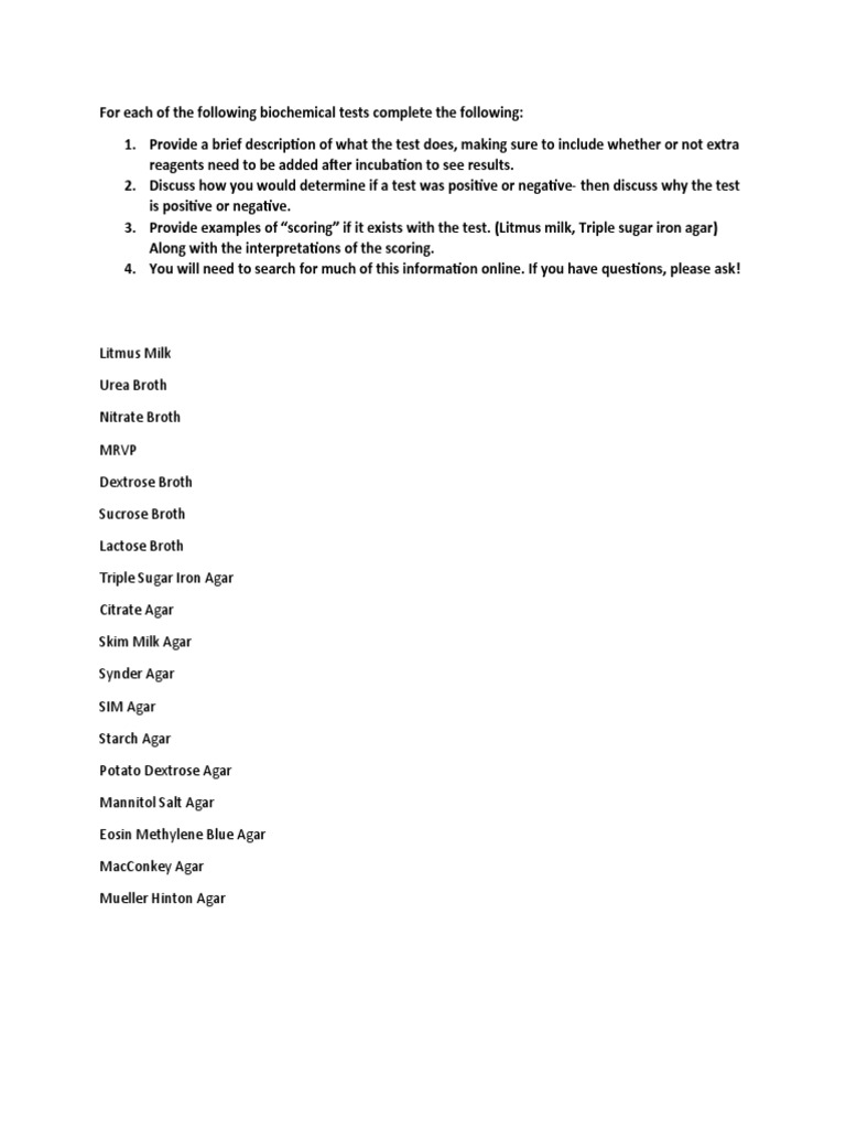 Media Assignment | PDF | Science & Mathematics