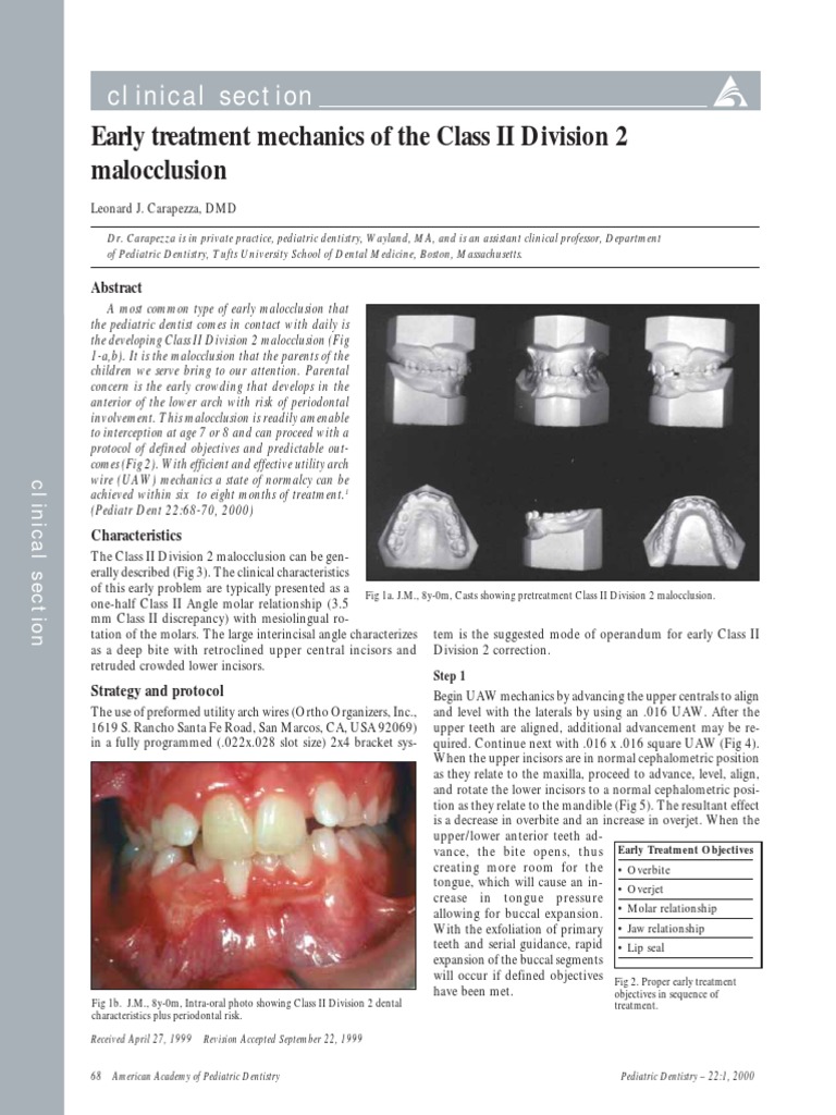 Carapezza 22 01 | PDF | Mouth | Dental Anatomy