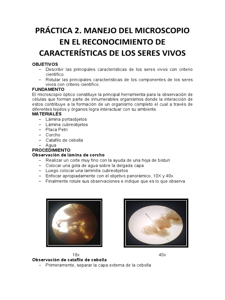 Biologia Parctica 2 Micros | PDF | Traducción (biología) | Bioquímica