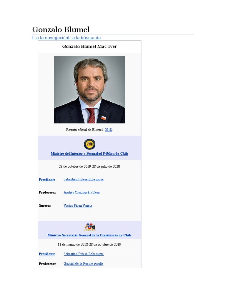 Gonzalo Blumel: Ministro del Interior 2019-2020 | PDF | Gobierno | Chile