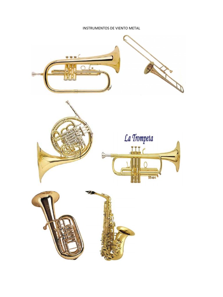 Instrumentos de Viento Metal | PDF