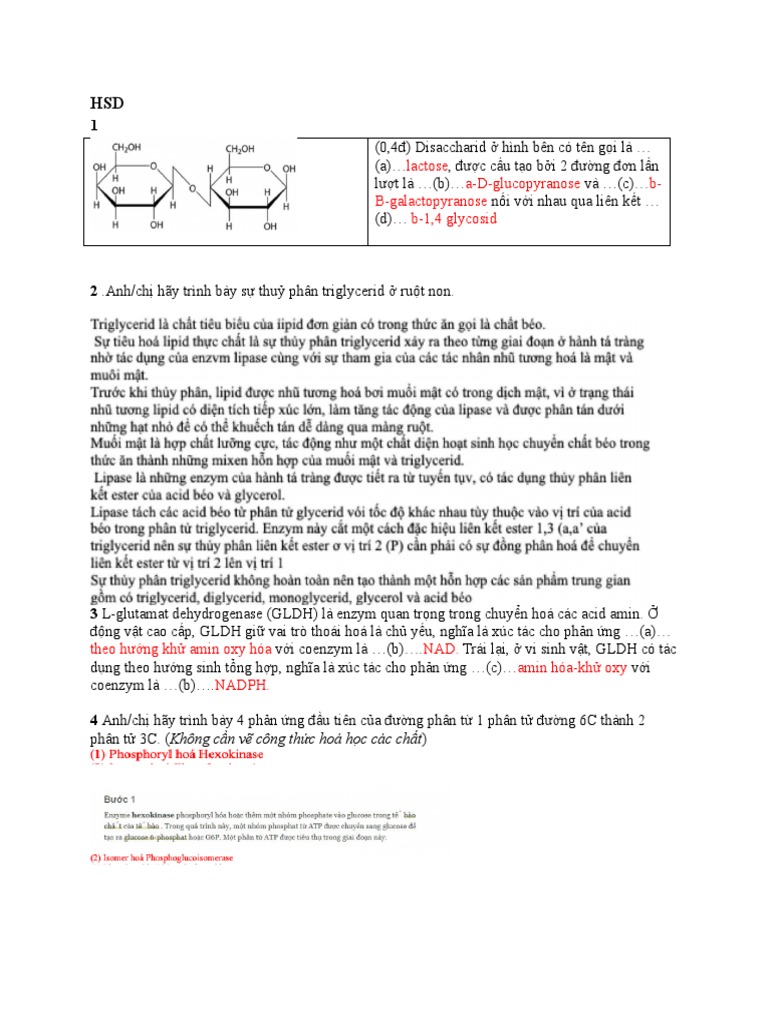 HSD Dien Khuyet | PDF