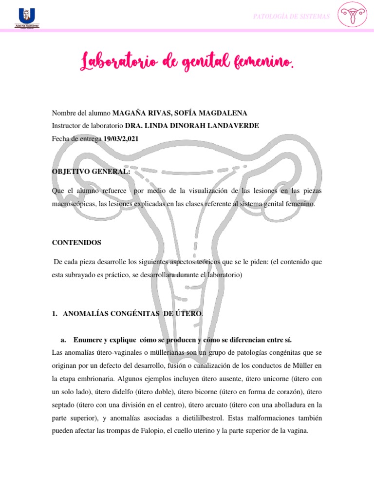 Lab Macro Genital F | PDF | Cáncer de cuello uterino | Cáncer