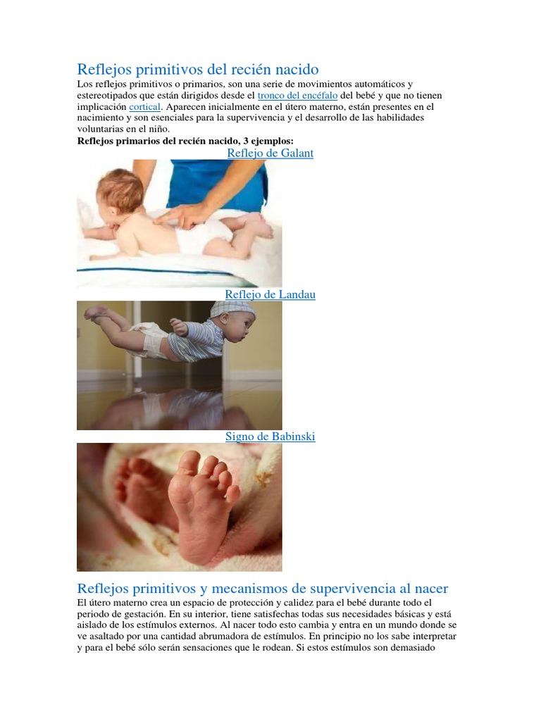 Reflejos Primitivos Del Recién Nacido | PDF | Cerebro | Aprendizaje