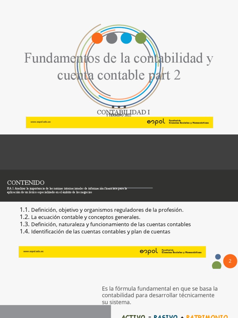 Cuenta Contable 223: Fundamentos y Función | PDF | Contabilidad ...