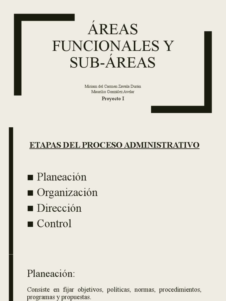 Áreas Funcionales y Sub-Áreas | PDF | Planificación | Business