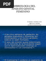 2.7. Exploración Testicular. 2.8. Escroto. 2.9. Técnicas y Maniobras de ...