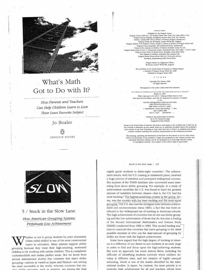 Boaler Chapter 5 American Grouping | PDF