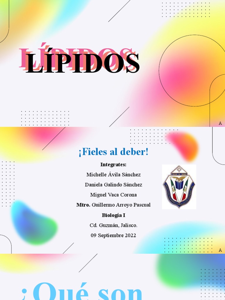 Los lípidos: composición, clasificación, funciones y fuentes ...