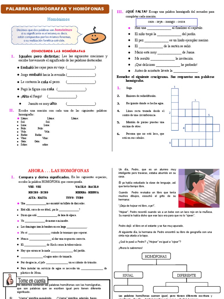 Actividad de Palabras Homonimas | PDF