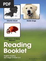 ks2 English 2023 Reading Answer Booklet | PDF